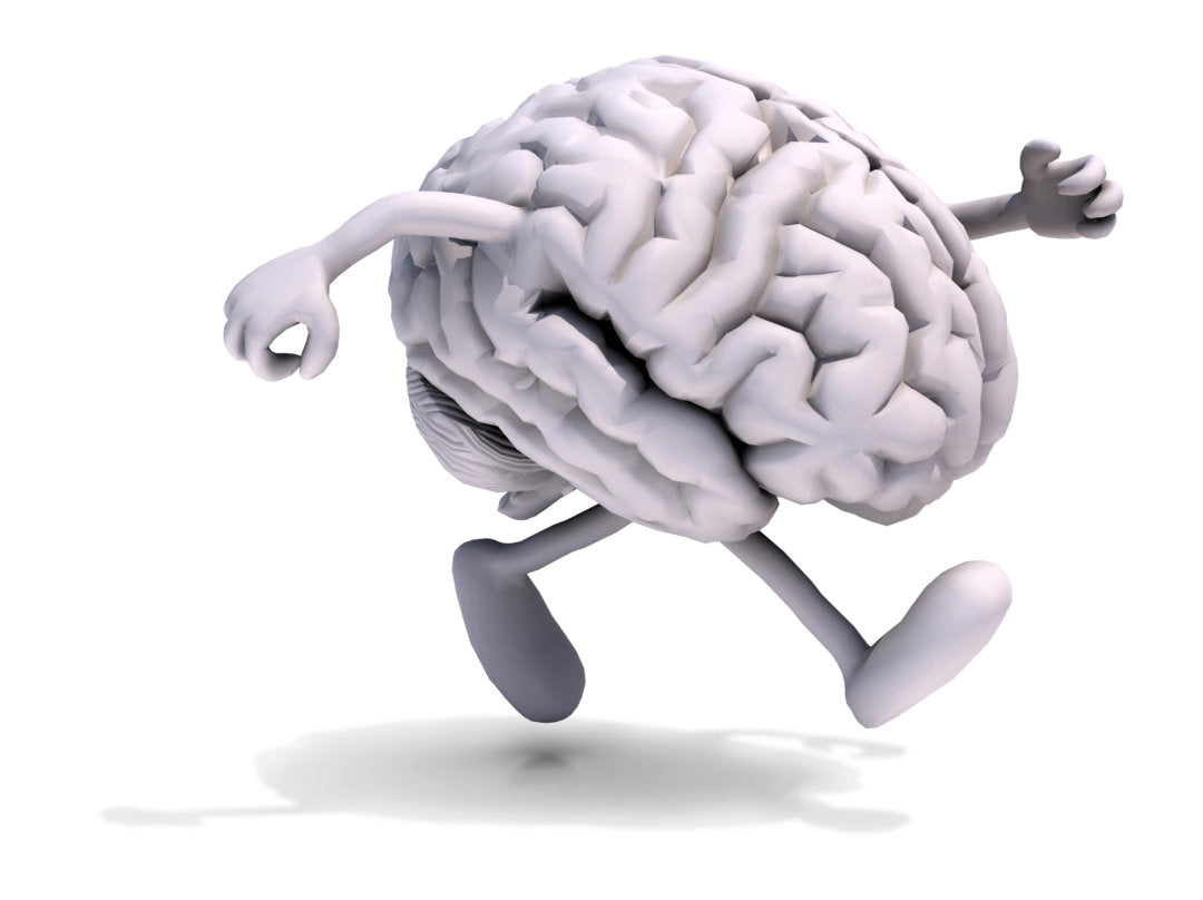 Want to Stretch Your Brain? Try These Exercises – Morphus