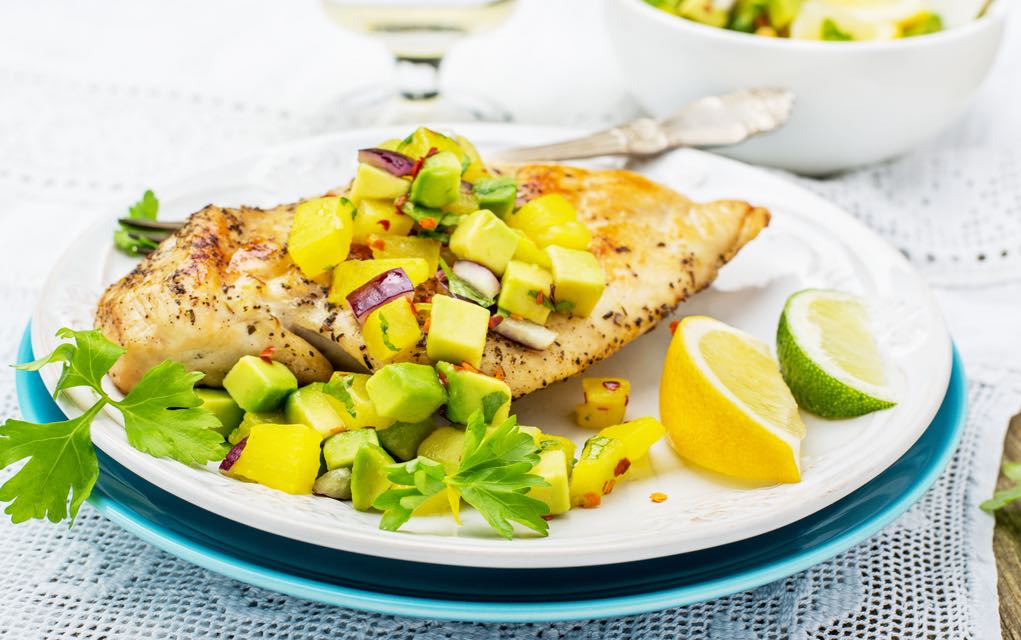 Tropical Chicken – Morphus